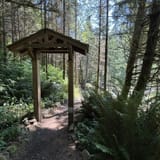 Amanda's Trail, Oregon - 542 Reviews, Map | AllTrails