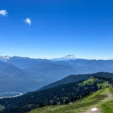 Tatoosh Ridge Trail, Washington - 443 Reviews, Map | AllTrails