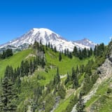 Tatoosh Ridge Trail, Washington - 443 Reviews, Map | AllTrails