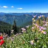 Tatoosh Ridge Trail, Washington - 443 Reviews, Map | AllTrails