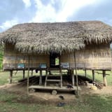 Mount Ulu Sepat, Perak, Malaysia - 15 Reviews, Map | AllTrails