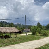 Mount Ulu Sepat, Perak, Malaysia - 15 Reviews, Map | AllTrails