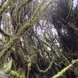 Mount Ulu Sepat, Perak, Malaysia - 15 Reviews, Map | AllTrails