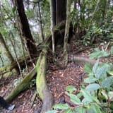 Mount Ulu Sepat, Perak, Malaysia - 16 Reviews, Map | AllTrails