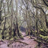 Mount Ulu Sepat, Perak, Malaysia - 15 Reviews, Map | AllTrails