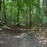 Kinver Edge Circular, West Midlands, England - 745 Reviews, Map | AllTrails
