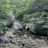Fallingwater Cascades Trail, Virginia - 767 Reviews, Map | AllTrails