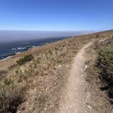 Point Buchon Trail, California - 608 Reviews, Map | AllTrails