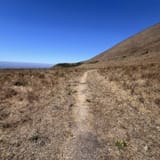 Point Buchon Trail, California - 608 Reviews, Map | AllTrails