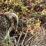 Point Buchon Trail, California - 608 Reviews, Map | AllTrails