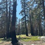Becker Peak Trail, California - 123 Reviews, Map | AllTrails