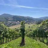 Oberkircher Brennersteig, Baden-Wuerttemberg, Germany - 67 Reviews, Map ...