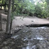 Memory Grove Trail, Utah - 1,368 Reviews, Map | AllTrails