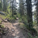 Turquoise Lake Trail # 1493, Colorado - 967 Reviews, Map | AllTrails