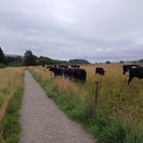 Teesdale Three Waterfalls Circular, County Durham, England - 522 ...