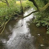 Yarrow Valley Country Park Circular, Lancashire, England - 327 Reviews ...