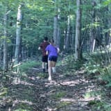 Lost Spring Trail, Tennessee - 76 Reviews, Map | AllTrails