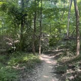 Creve Coeur Lakeview Loop Trail, Missouri - 2,144 Reviews, Map | AllTrails