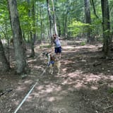 Lake Blue Ridge Loop , Georgia - 900 Reviews, Map | AllTrails