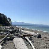 Dungeness Spit Trail, Washington - 1,715 Reviews, Map | AllTrails