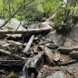 Maxwell Falls Trail, Colorado - 10,199 Reviews, Map | AllTrails
