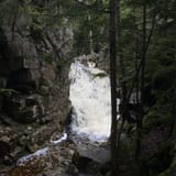 Basin Cascade Trail, New Hampshire - 2,299 Reviews, Map | AllTrails