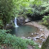 Seneca Creek Trail, West Virginia - 331 Reviews, Map | AllTrails