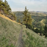 Mt. Otis Trail, Montana - 62 Reviews, Map | AllTrails