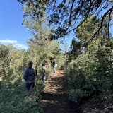 Grindstone Canyon Loop, New Mexico - 1,735 Reviews, Map | AllTrails