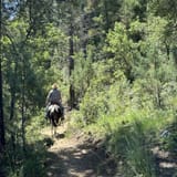 Grindstone Canyon Loop, New Mexico - 1,735 Reviews, Map | AllTrails
