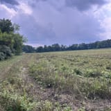 Assunpink Wildlife Management Area Trails, New Jersey - 205 Reviews ...