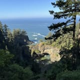 Natural Bridges Viewpoint Trail, Oregon - 892 Reviews, Map | AllTrails