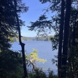 Eel Lake Trail, Oregon - 411 Reviews, Map | AllTrails