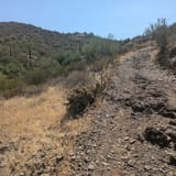 Go John Trail, Arizona - 2,780 Reviews, Map | AllTrails
