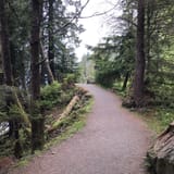 Rushbrook Trail, British Columbia, Canada - 157 Reviews, Map | AllTrails