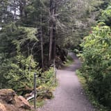Rushbrook Trail, British Columbia, Canada - 157 Reviews, Map | AllTrails