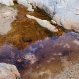 Romero Canyon Trail to Romero Pools, Arizona - 4,187 Reviews, Map ...