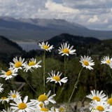 Keystone Gulch, Colorado - 275 Reviews, Map | AllTrails