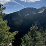 Raven's Ridge Trail, New Mexico - 1,012 Reviews, Map | AllTrails