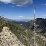 Whipple Trail, Utah - 296 Reviews, Map | AllTrails