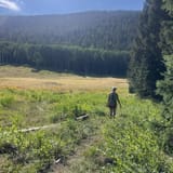 Whipple Trail, Utah - 297 Reviews, Map | AllTrails
