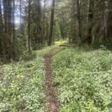 Whipple Trail, Utah - 297 Reviews, Map | AllTrails