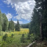 Whipple Trail, Utah - 297 Reviews, Map | AllTrails