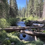 Carlon Falls Trail, California - 1,309 Reviews, Map | AllTrails