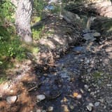 Convict Lake Loop, California - 2,332 Reviews, Map | AllTrails