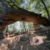 Princess Arch Trail, Kentucky - 1,397 Reviews, Map | AllTrails