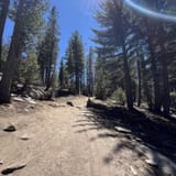 Chickadee Ridge via Tahoe Rim Trail, Nevada - 2,815 Reviews, Map ...