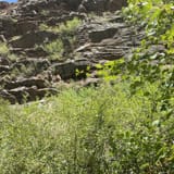 Columbine Trail, Colorado - 1,957 Reviews, Map | AllTrails