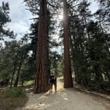 Desert View Trail, California - 1,780 Reviews, Map | AllTrails