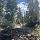 Monarch Lake Loop, Colorado - 2,802 Reviews, Map | AllTrails